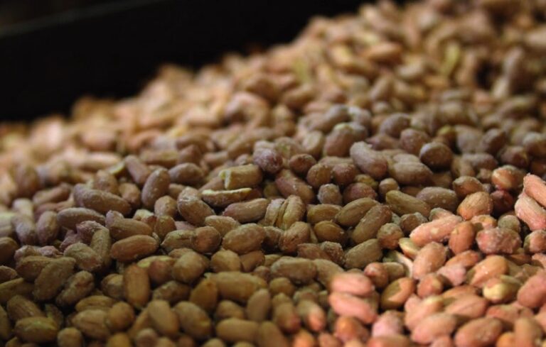 Is a Peanut Really a Nut? - Kelly To Eat