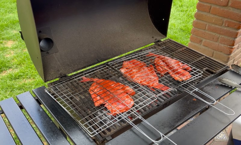 6 Best Fish For Grilling - Salmon, Tuna, Swordfish, Mahi Mahi, And More ...