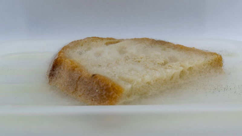 How To Store Bread To Prevent Mold - Kelly To Eat